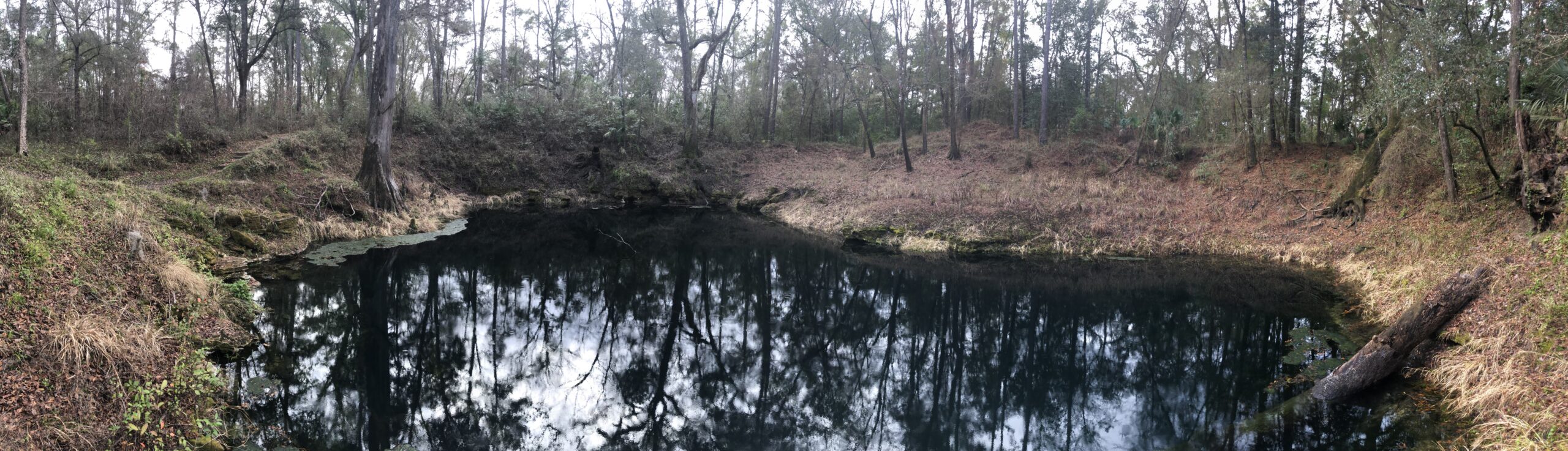 Lafayette Blue Springs State Park – Wander Into The Wilburess